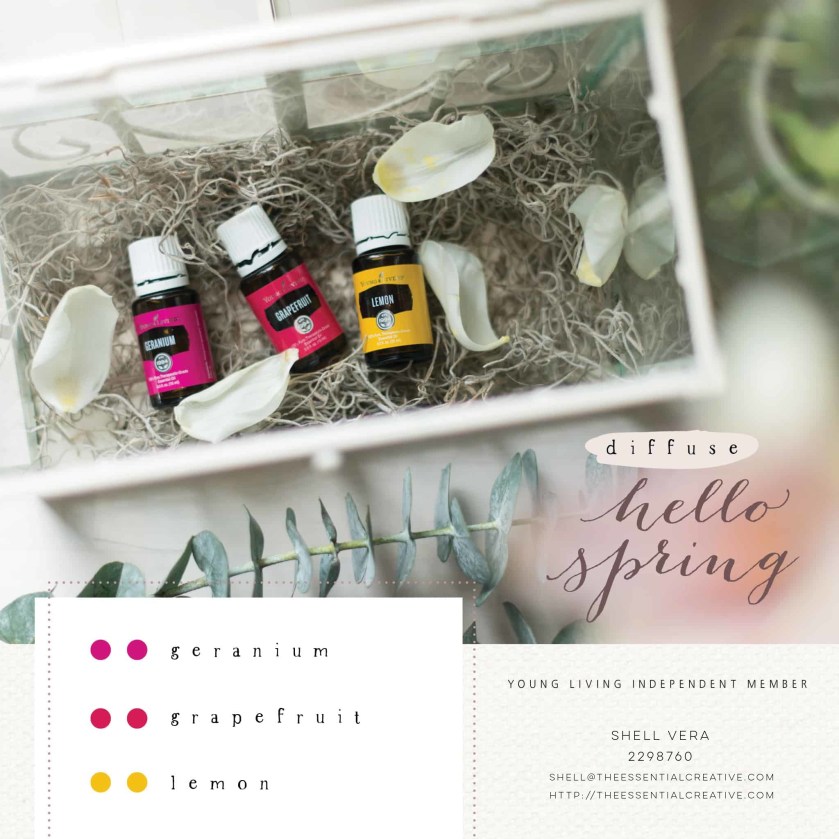 Spring Cleaning Diffuser Blends – The Essential Creative