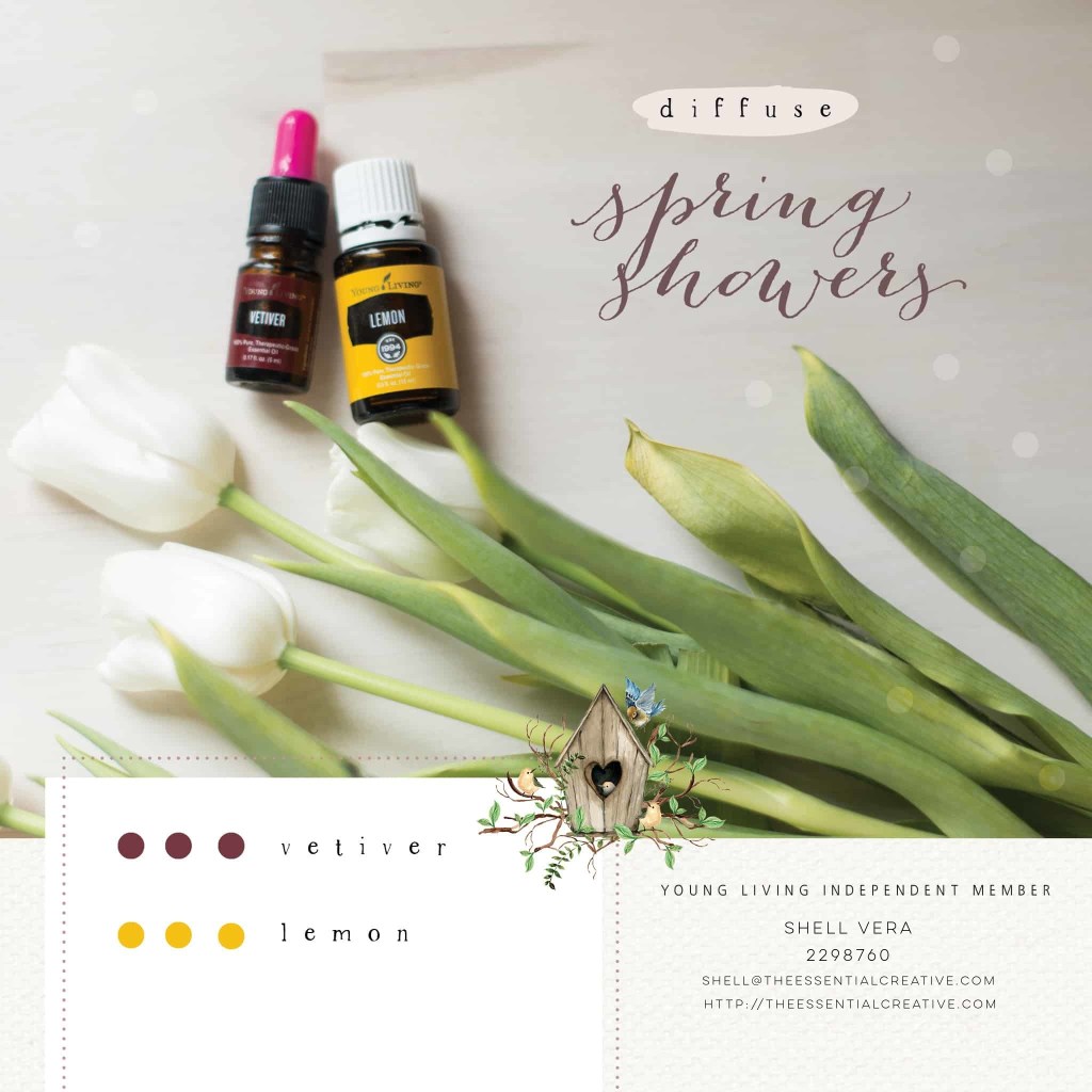 Spring Cleaning Diffuser Blends – The Essential Creative