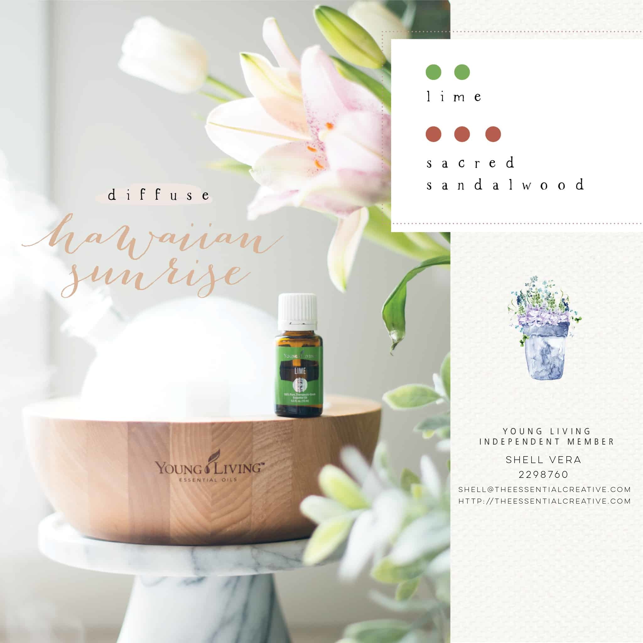 Spring Cleaning Diffuser Blends – The Essential Creative