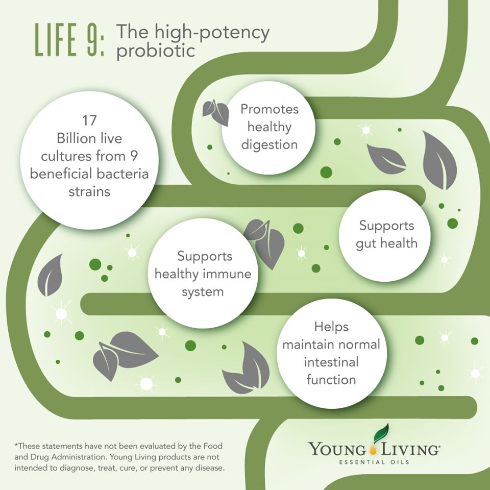 Winter Wellness with Young Living – The Essential Creative