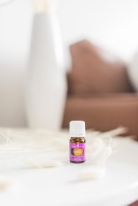 Using Your Young Living Starter Kit – The Essential Creative