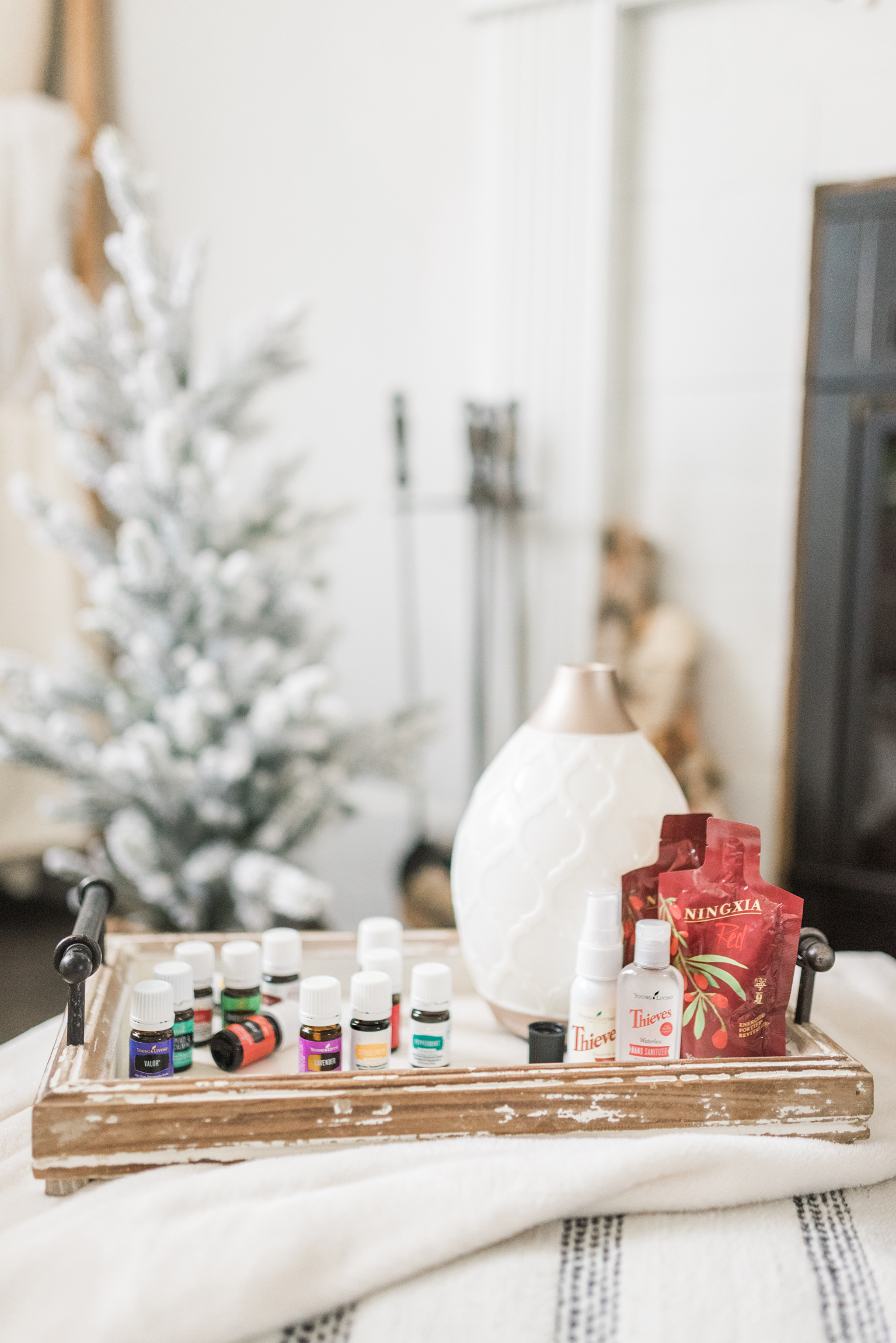 Get Ready For Young Living’s 2020 Holiday Catalog! – The Essential Creative