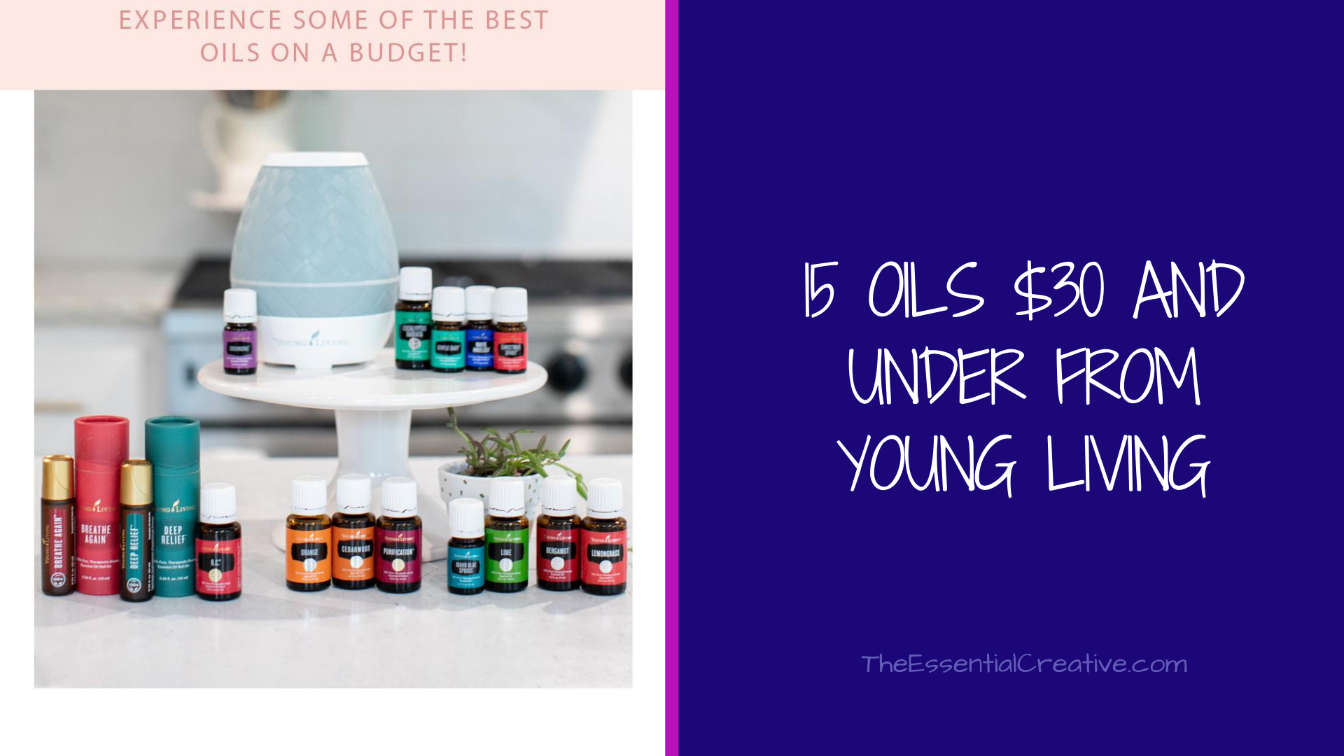 15 Essential Oils Under $30 from Young Living (Gift Ideas) – The ...