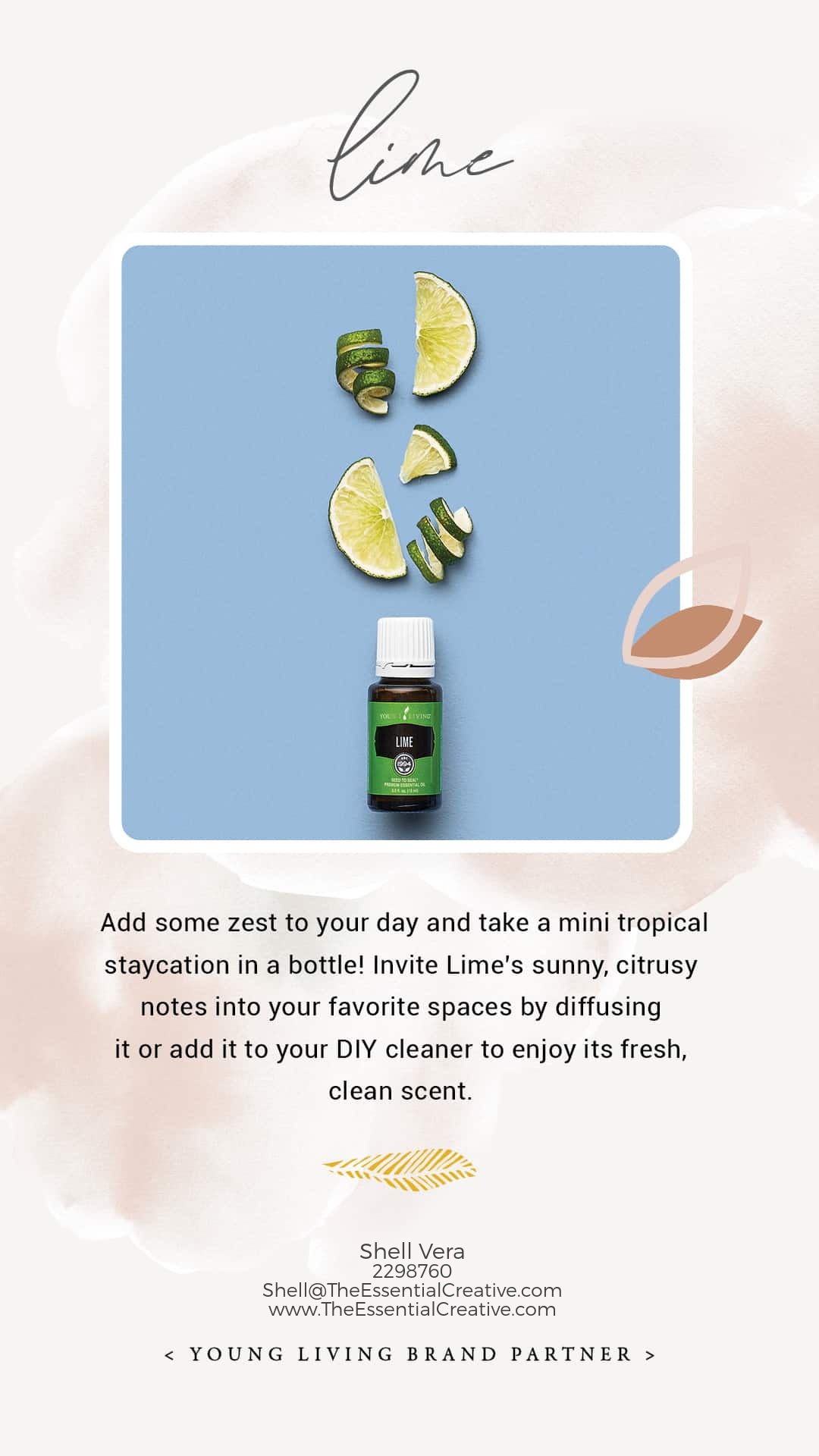 5.-lime – The Essential Creative