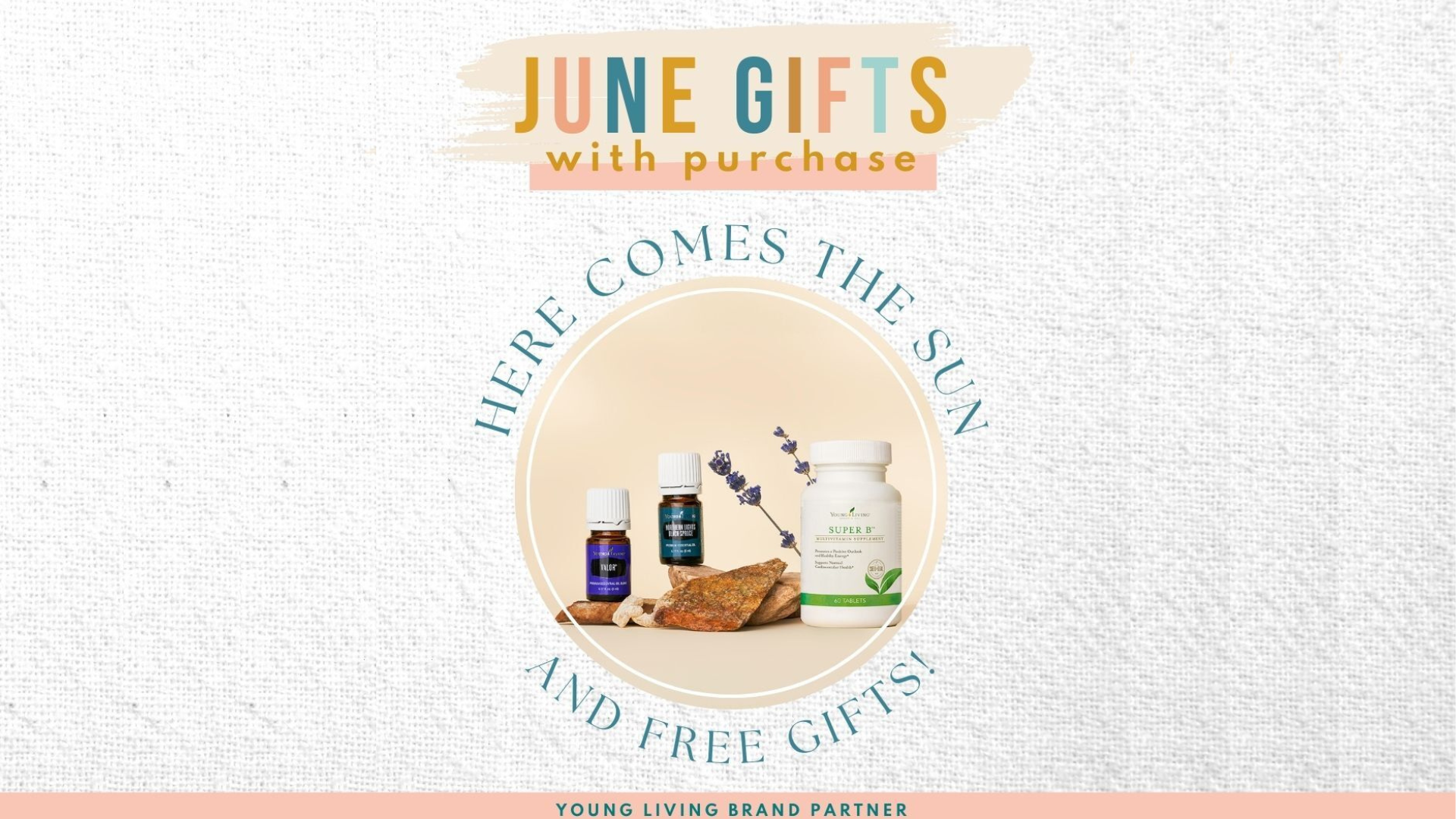 Oils – The Essential Creative